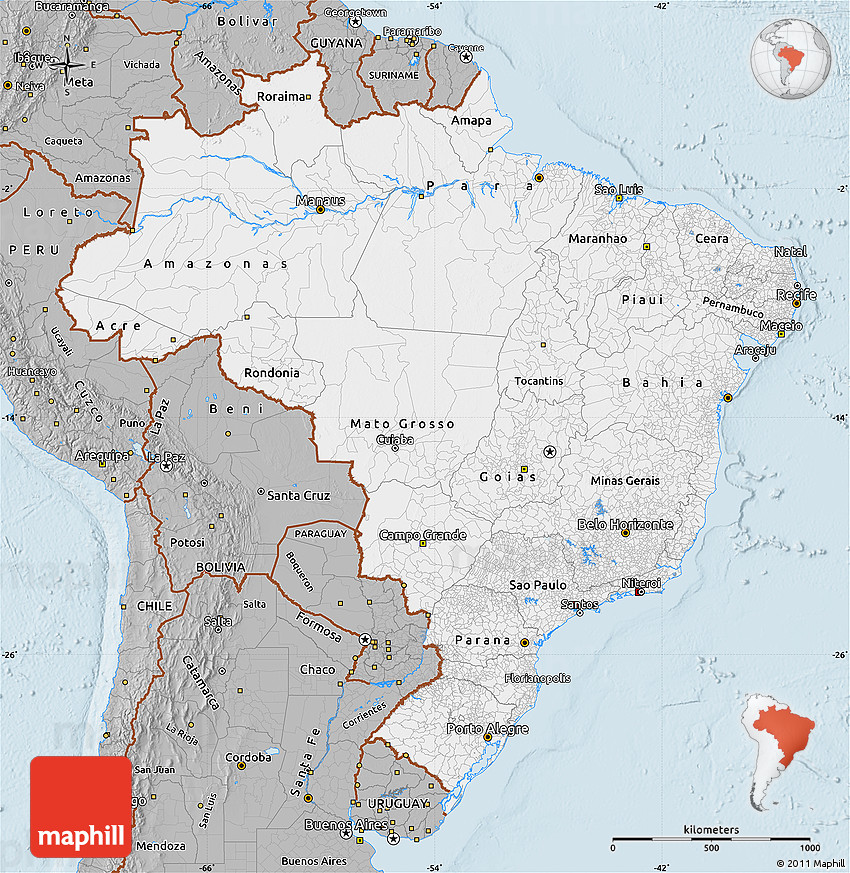 Gray Map of Brazil